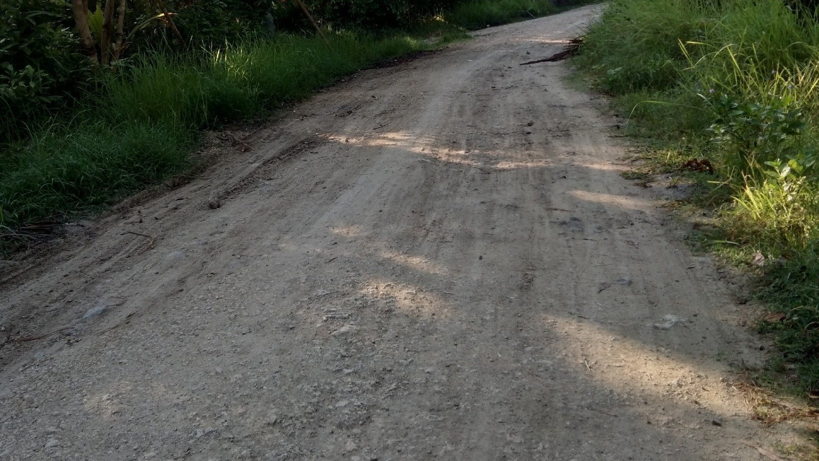 Petition · "Calling for Change: Improve Road Safety by Repairing Rough ...