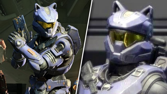Petition · We need to bring cat ears back to the Halo Infinite shop ...
