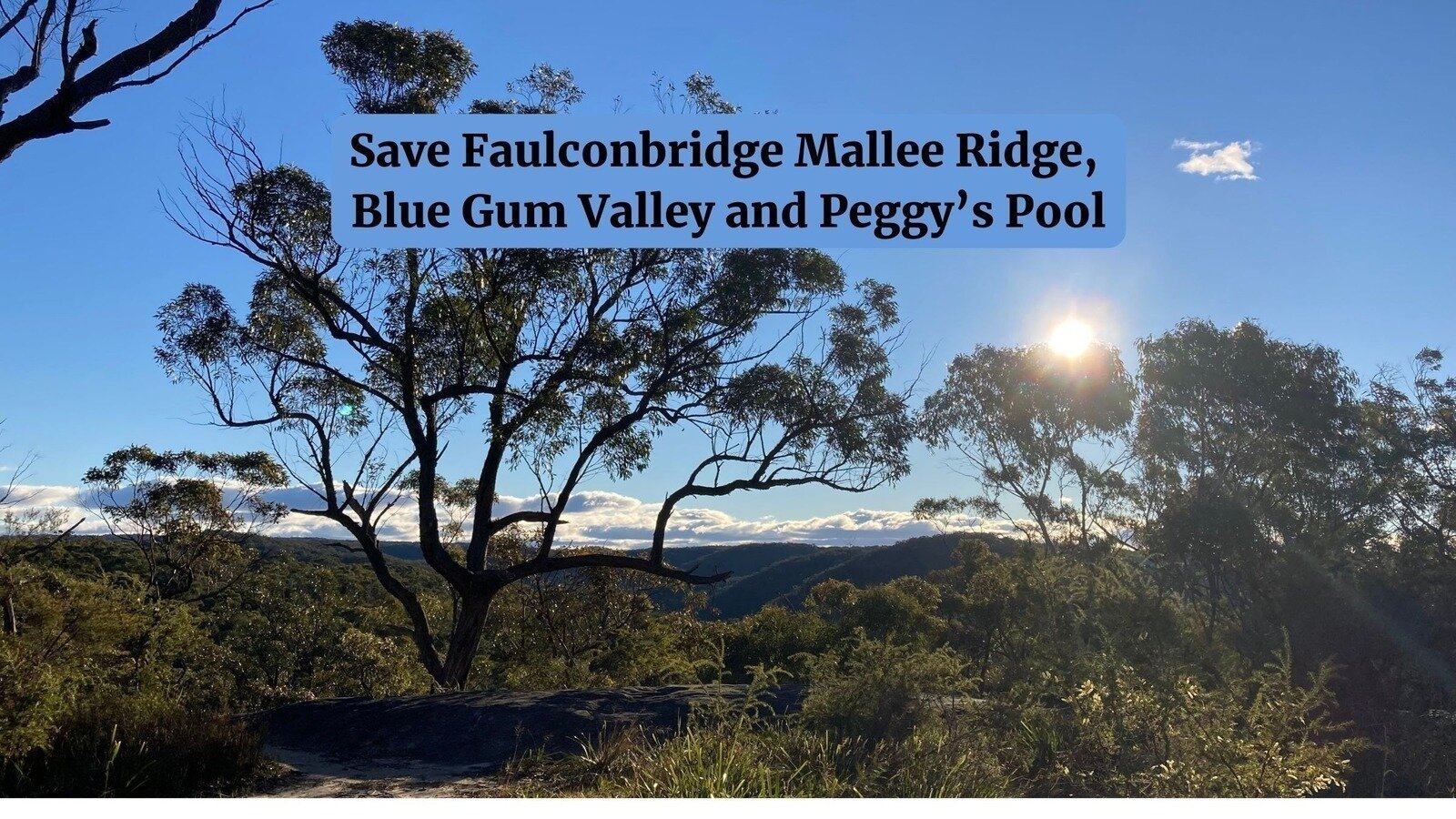 Petition · Save Faulconbridge Mallee Ridge, Blue Gum Valley and Peggy’s ...