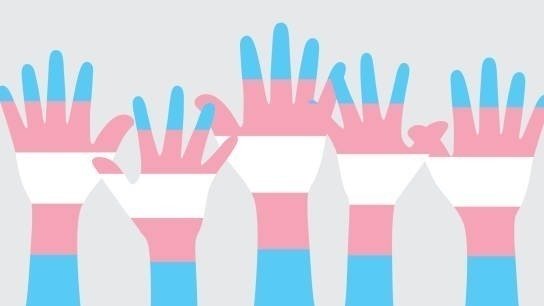 Petition · Stop Anti-Trans Policy - United States · Change.org