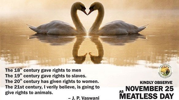 Petition · 25 November - International Meatless Day and Animal Rights ...