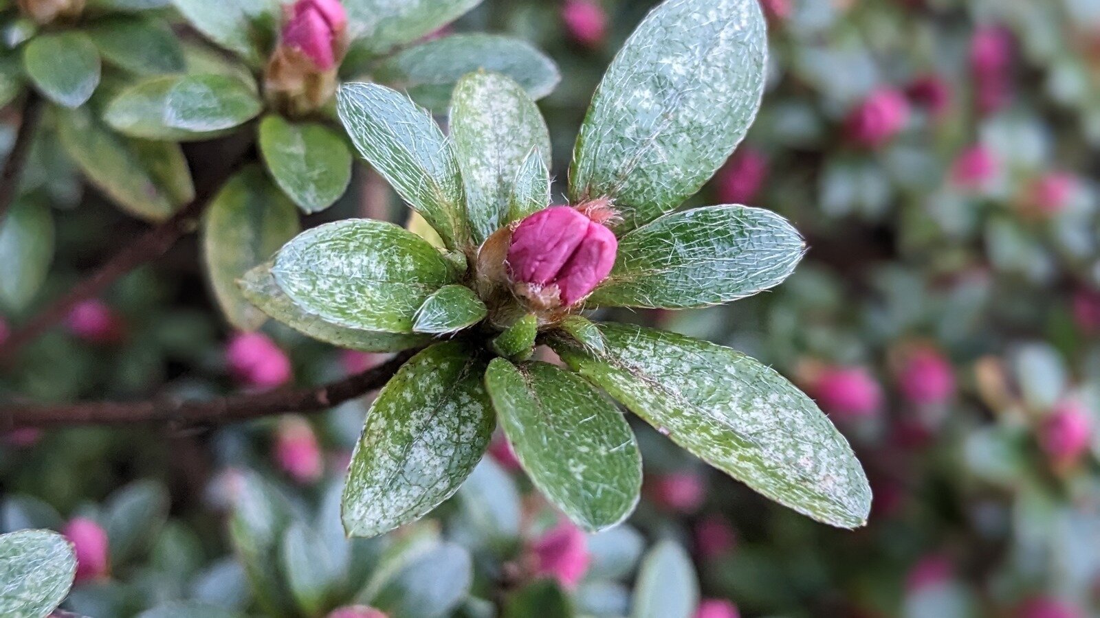 Petition update · · Change.org · Change.org