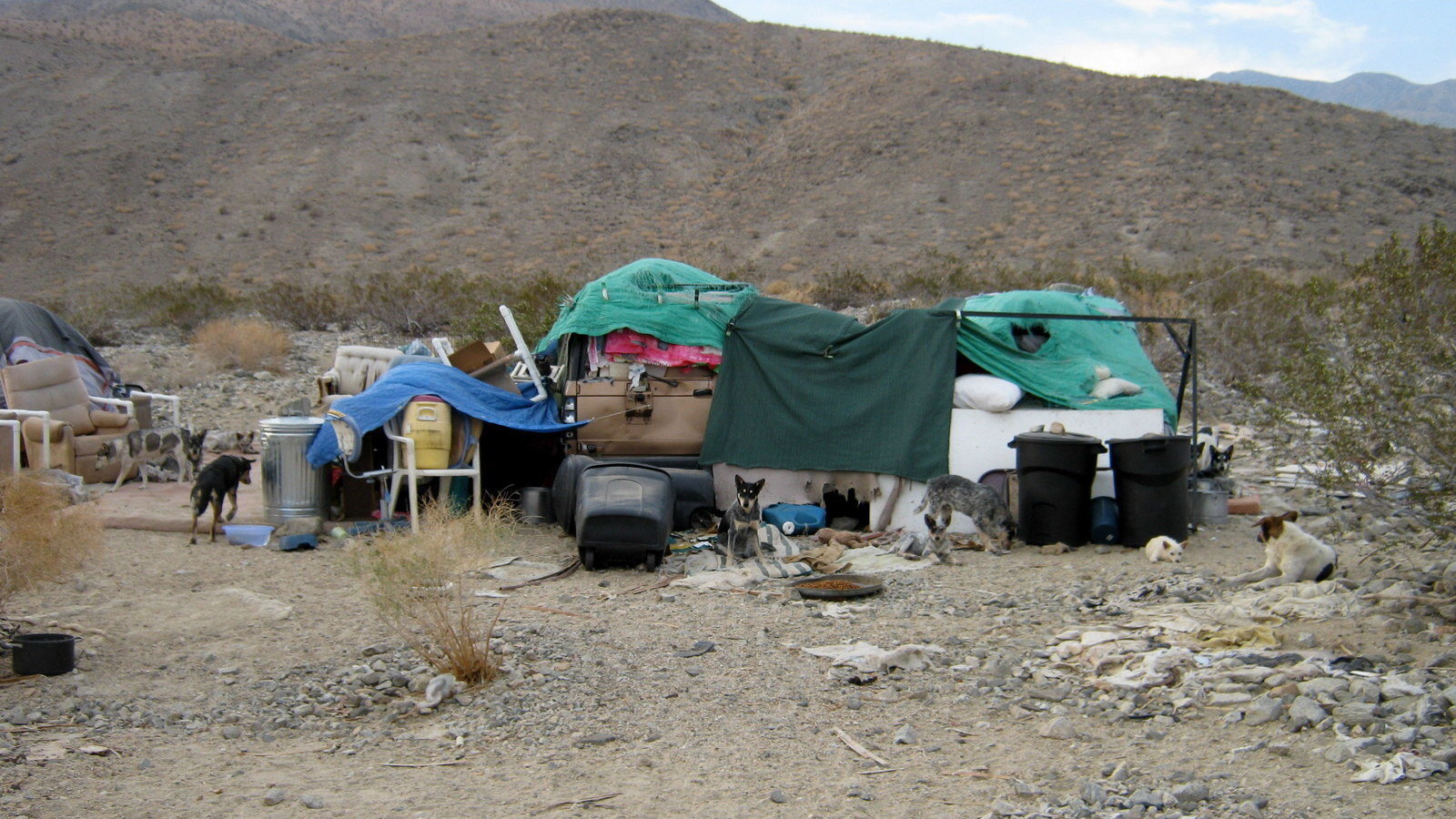 Petition · DEMAND DESERT DOG ANIMAL ABUSER GET MAXIMUM 9 YEARS IN JAIL ...