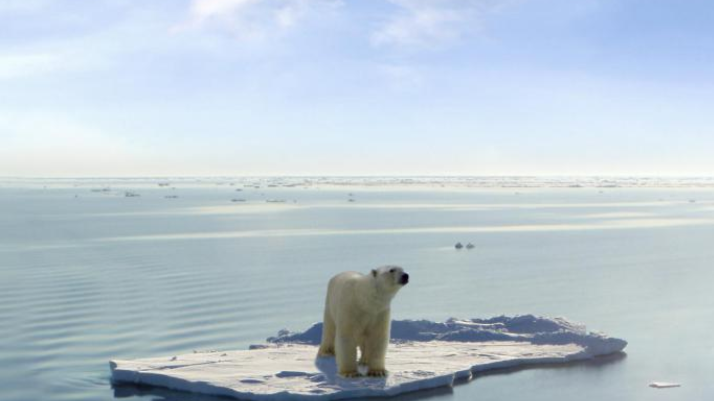 Petition · Close Alaska's Arctic Wildlife Refuge to oil drilling again ...