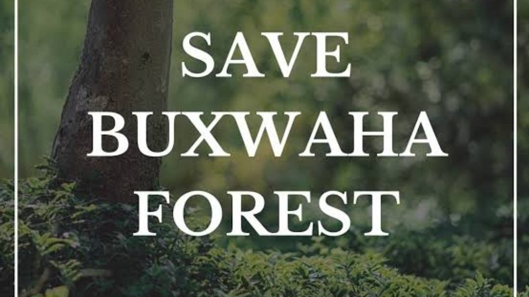 Petition · Save Buxwaha forest - India · Change.org