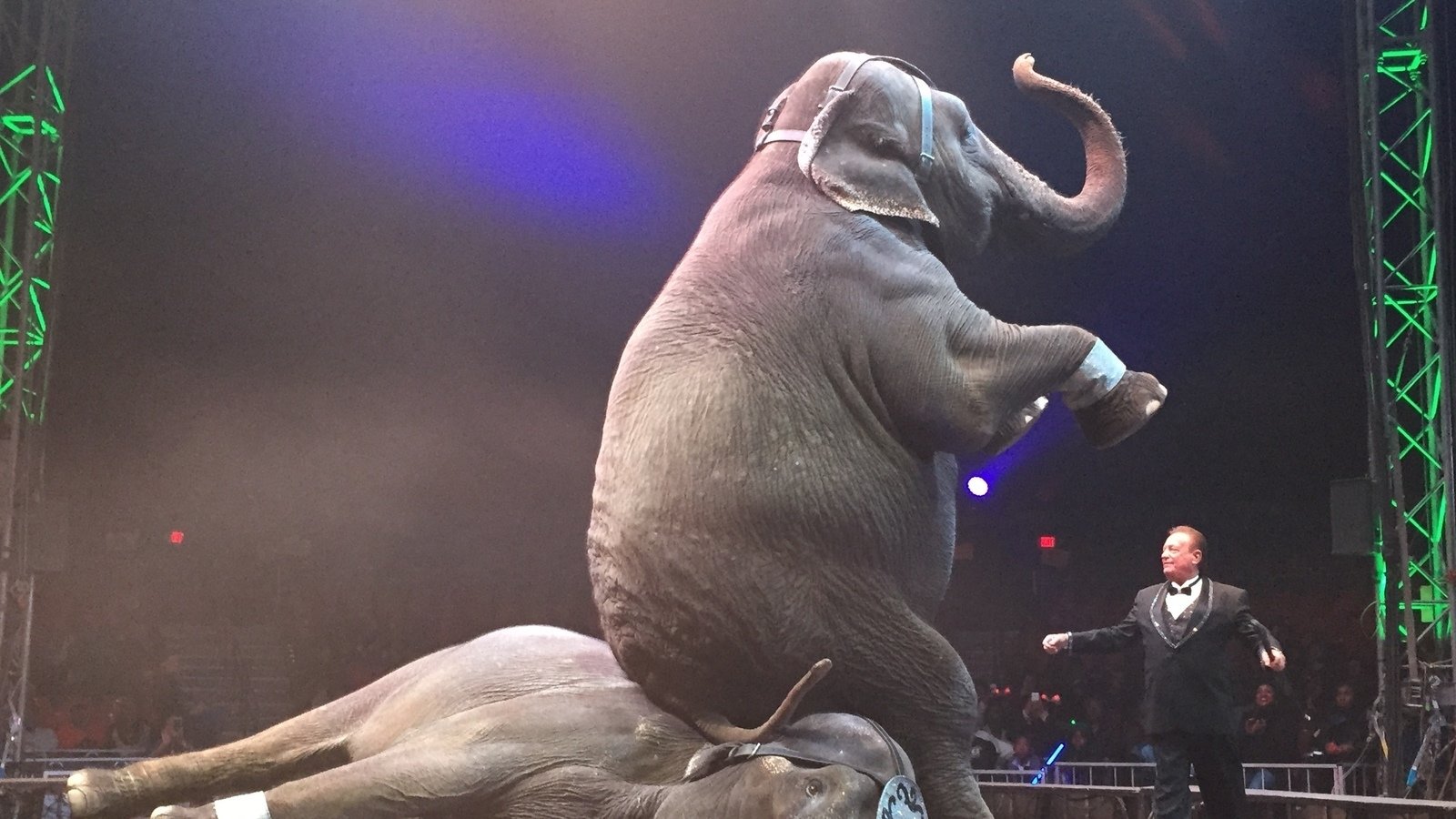 Petition · Outer Harbor Buffalo - Cancel UniverSoul Circus Performance ...