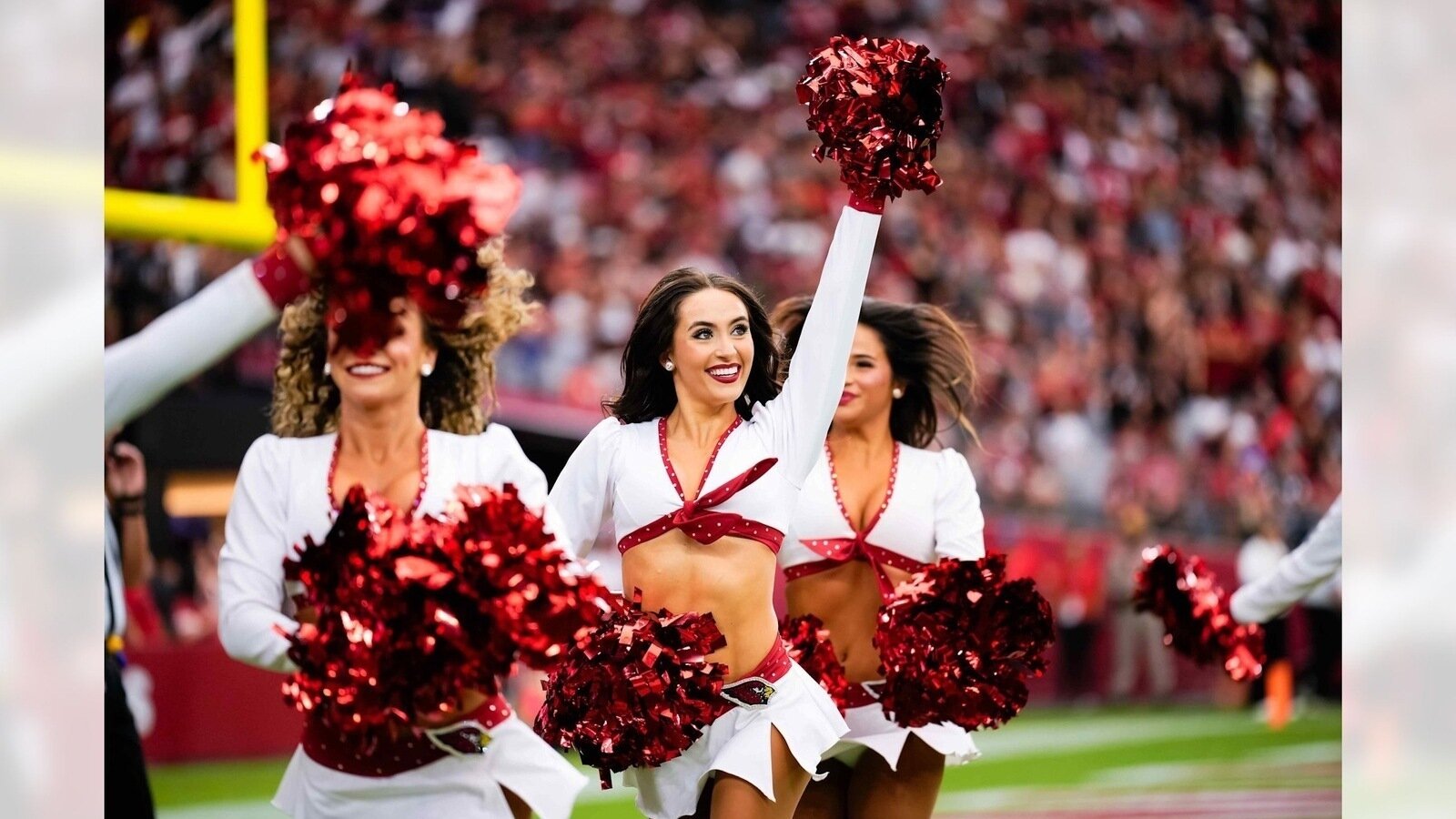 Petition · Keep AZCC on the Field - Bring the Arizona Cardinals ...