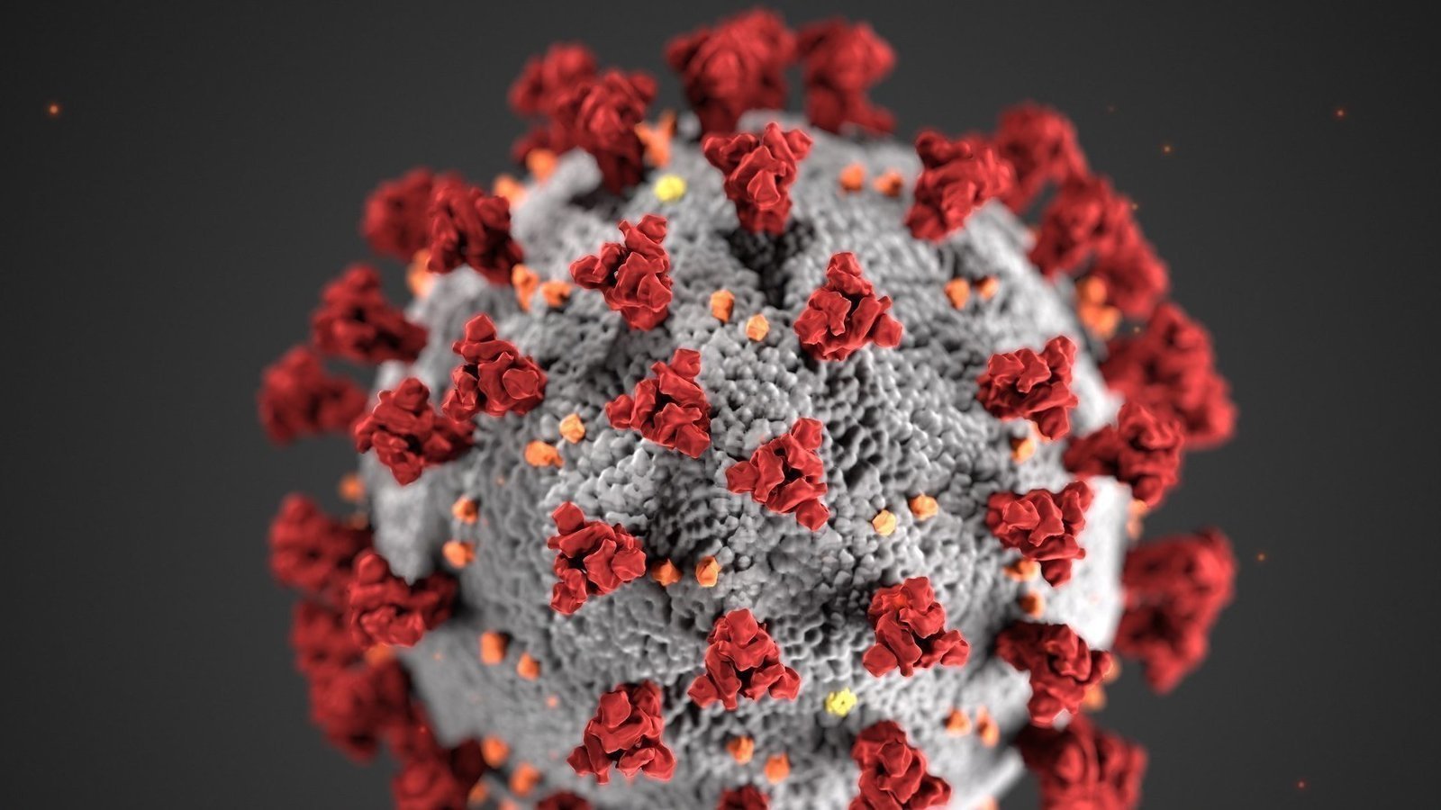 Petition · COVID-19: Cancel face-to-face classes at Australian ...