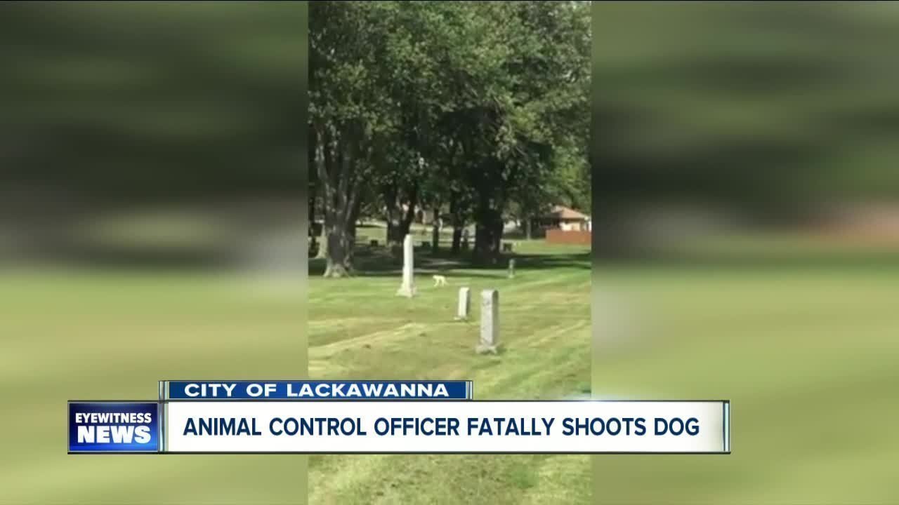 Petition · DA Flynn, Indict Lackawanna's ACO Fred Grasso with ...