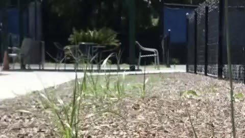 Petition · Petition by Tennis Club Members of The Golf Club at Indigo ...