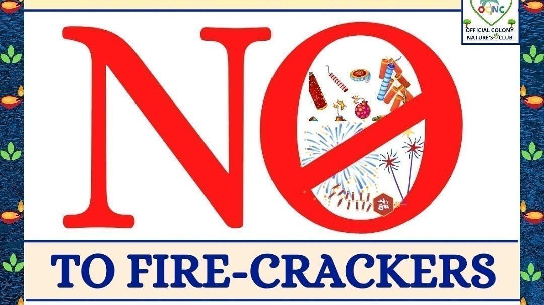 Petition · BAN FIRE-CRACKERS ON DIWALI - India · Change.org