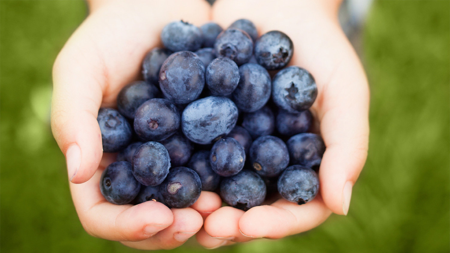 Petición · Emoji de Mora Azul - Estados Unidos · Change.org