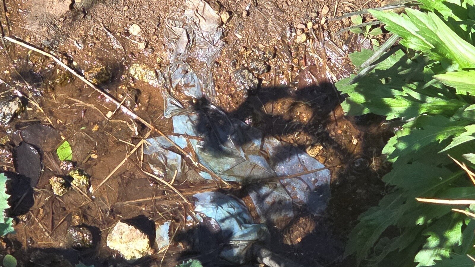 Petition · Replace old and dilapidated water pipes - Centurion, South ...