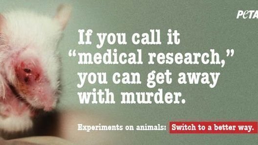 Petition · Creating Laws to Prevent Animal Testing on Cosmetics and ...