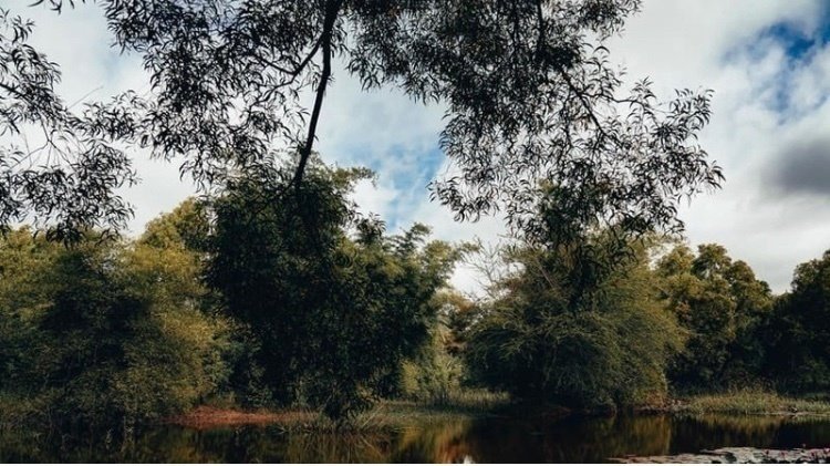 Petition · Save environment save lakes - Germany · Change.org