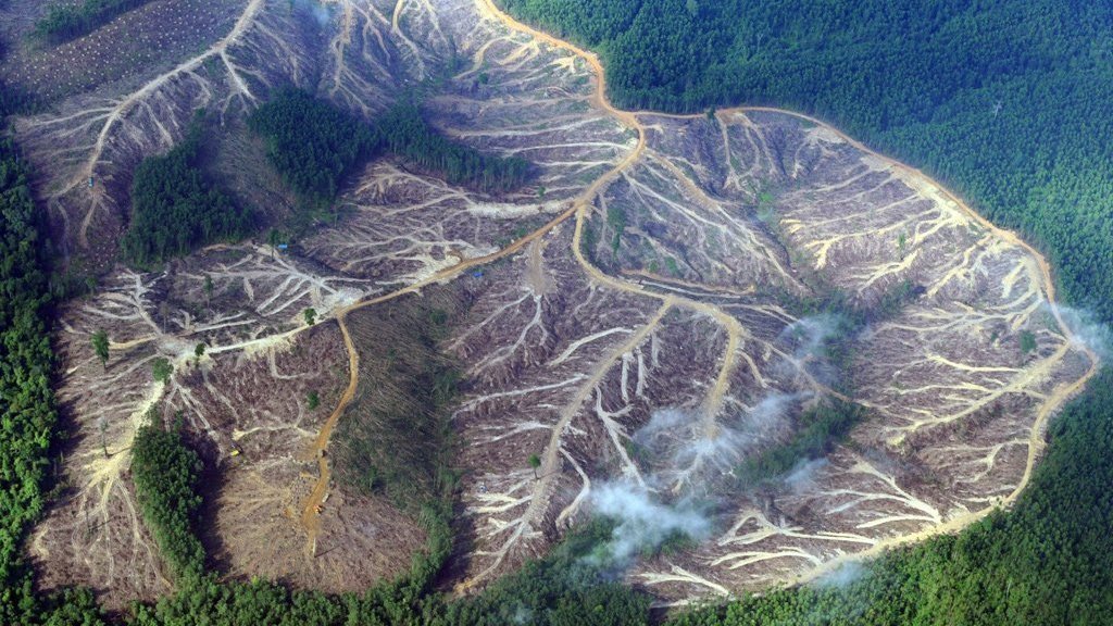 Petition · Fund the Conservation of The Amazon Rainforest - United ...
