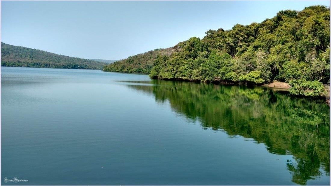 Petition · Save 500 years old Dhamapur lake from pollution which is ...