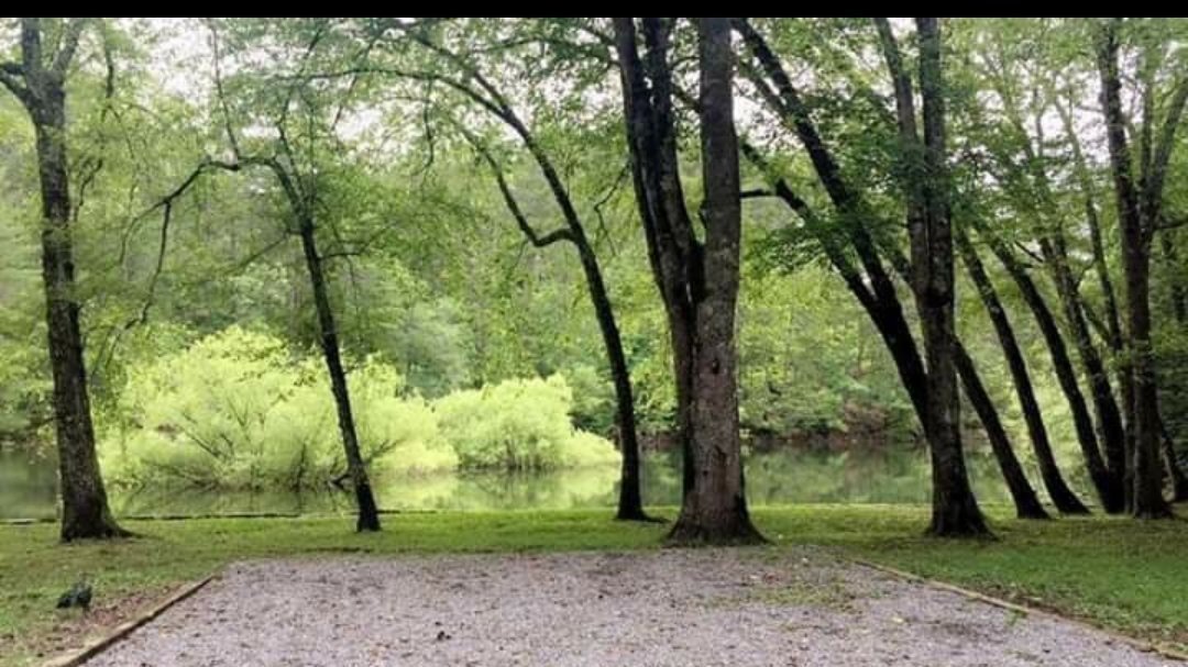 Petition · Reopen The Hanging Dog Campground (Murphy, NC) - United ...