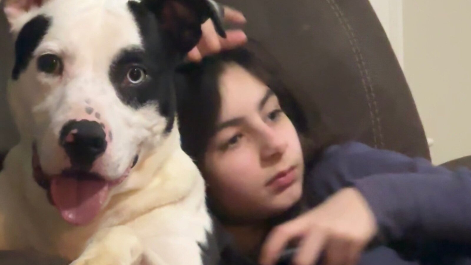 Petition · Implement Stop Signs or Lights on Pond Street for Increased ...