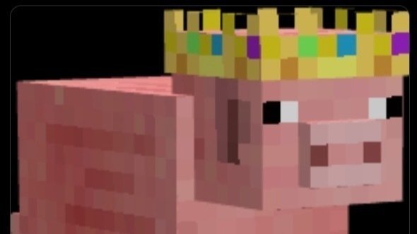 Petition · When a pig is named “Technoblade” in Minecraft it will get a ...