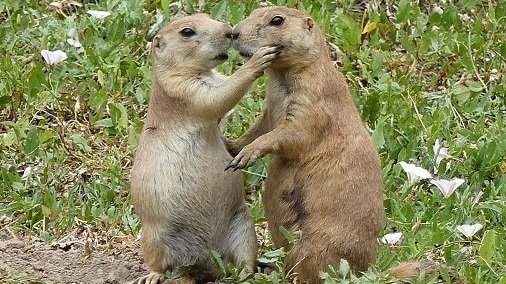 Petition · Denver Board of Water Commissioners: Withdraw Your $50,000 ...