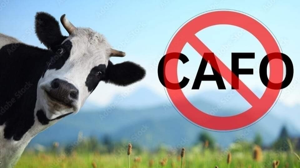 Petition · Stop the Proposed 8500 head CAFO in Pine Township! Benton ...