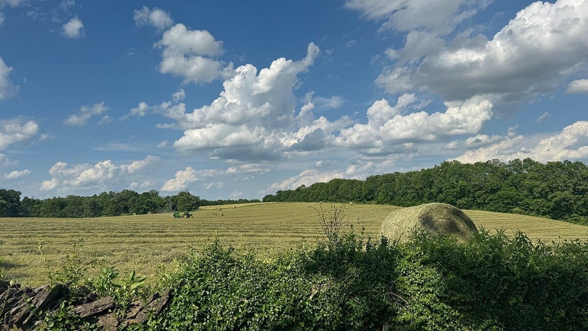 Petition · Stop the Central KY Regional Project under KPDI Second Round ...