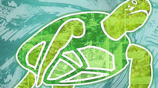 Petition · Save The Turtles! - India · Change.org