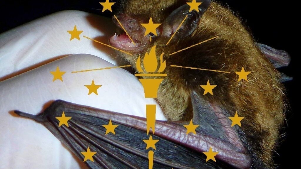 Petition · Make the Little Brown Bat the Official Mammal of Indiana ...