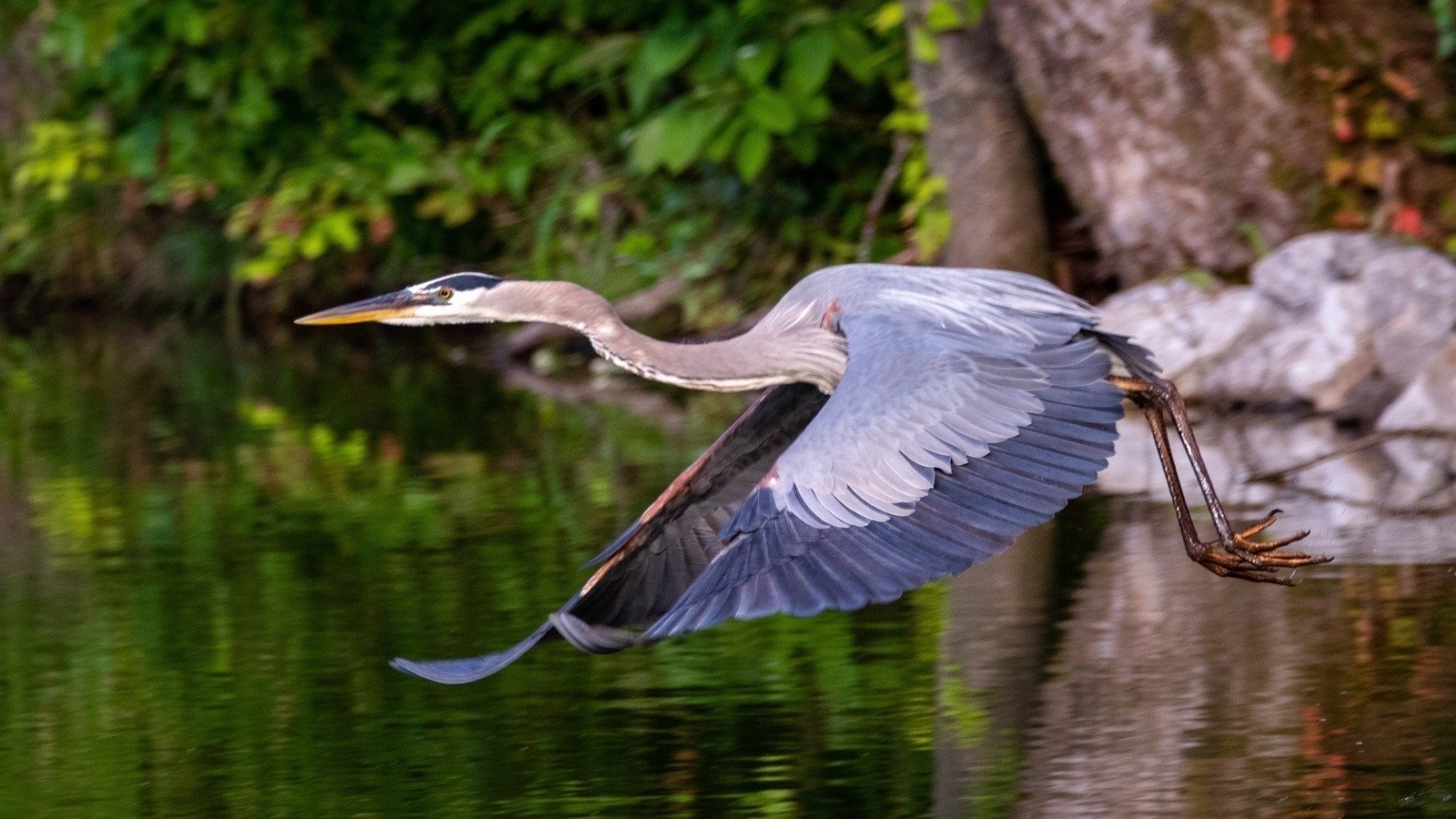 Petition update · Thank you for your support! · Change.org · Change.org