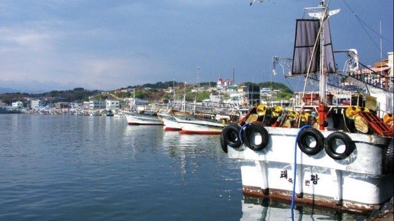 Petition · Let's Save The South Korean Oceans Together! - United States ...