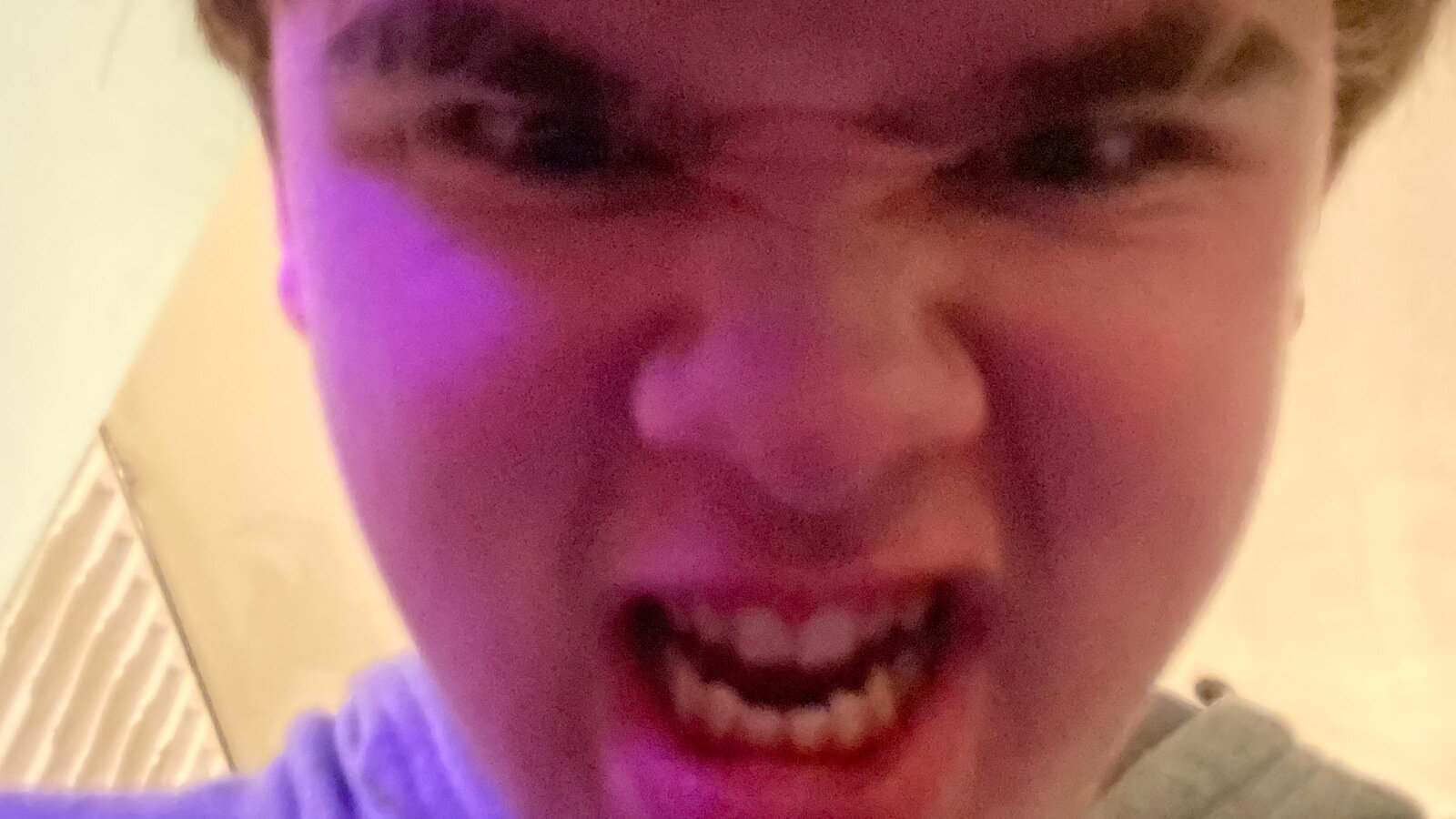 Petition · Mandate Universal Feeding for Finn at His Request - United ...