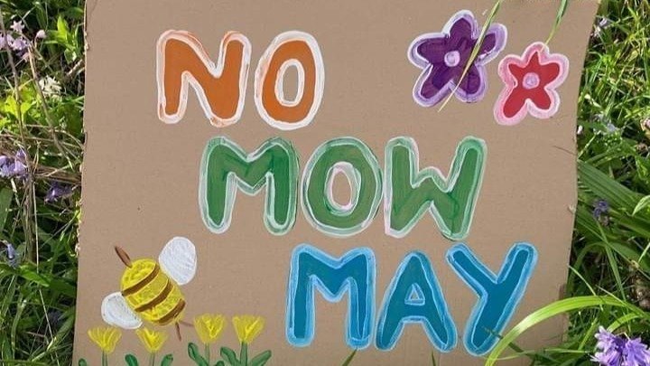 Petition · Grant No Mow May and save ecosystems such as pollinators ...
